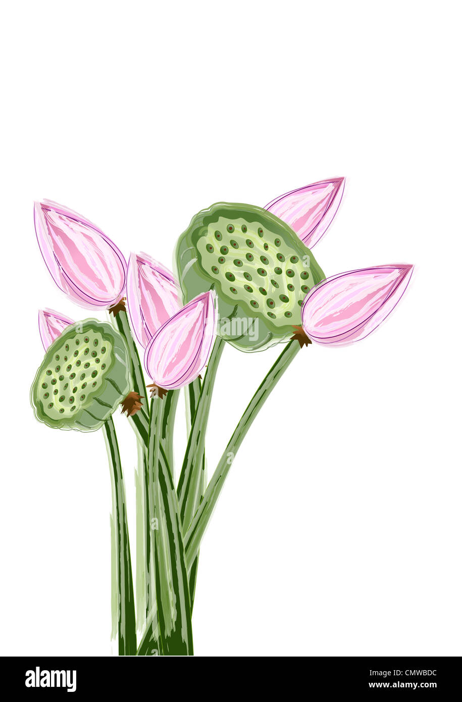 Abstract lotus flower Stock Photo - Alamy