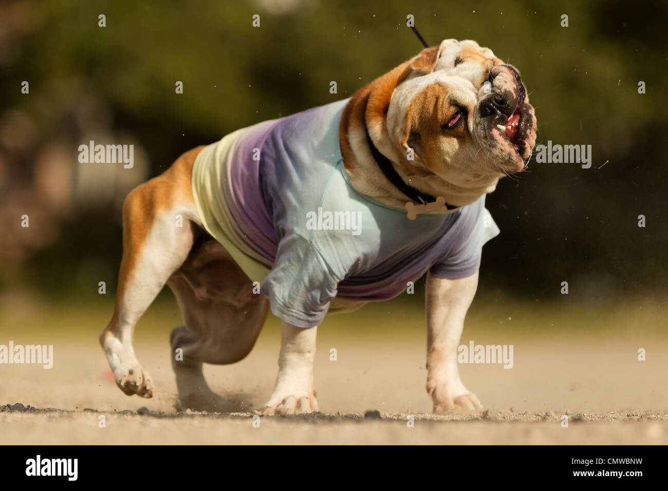 English dance music hi-res stock photography and images - Alamy