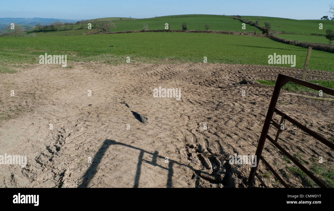 Gate opening onto a green field with hard dry ground in field in spring ...
