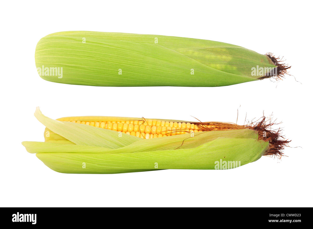 Corn maize cobs hi-res stock photography and images - Alamy
