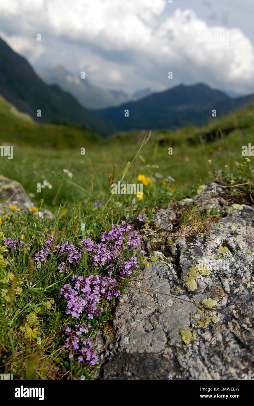 View in the Pyranees mountains Stock Photo - Alamy