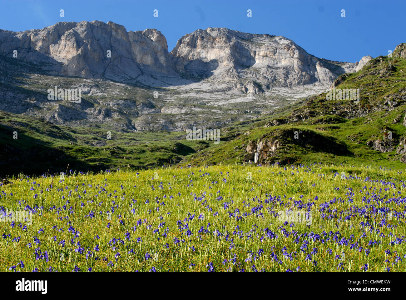 Pyranees mountains france hi-res stock photography and images - Alamy