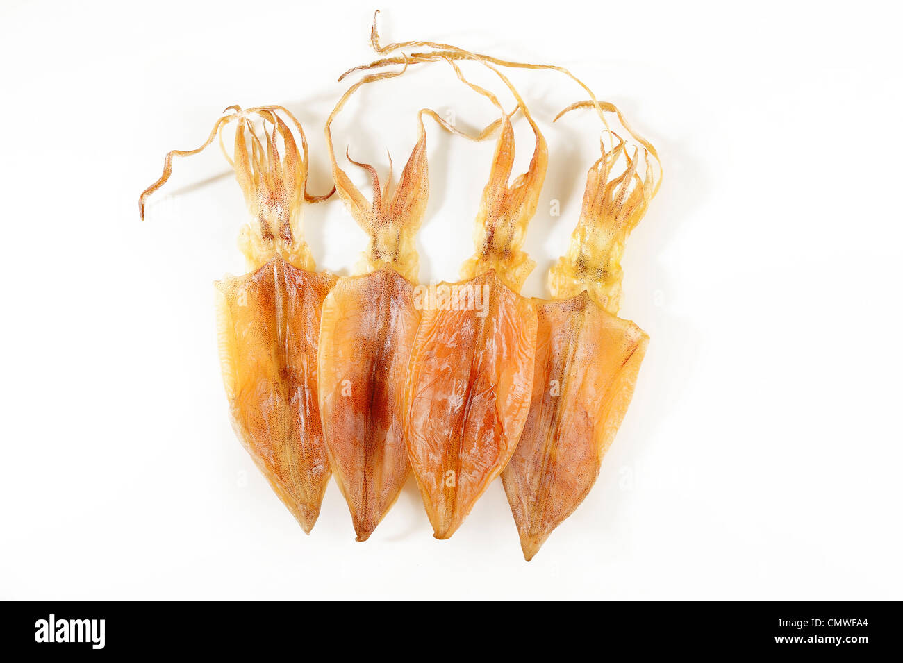 Dry squid on white Cut Out Stock Images & Pictures - Alamy