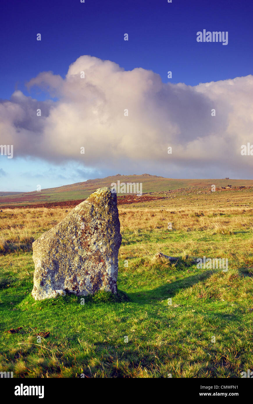 A granite stack on dartmoor Stock Photo - Alamy