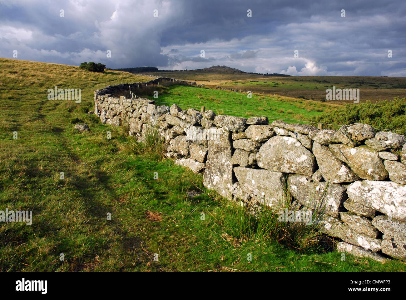 A dry stone wall on Dartmoor Stock Photo - Alamy