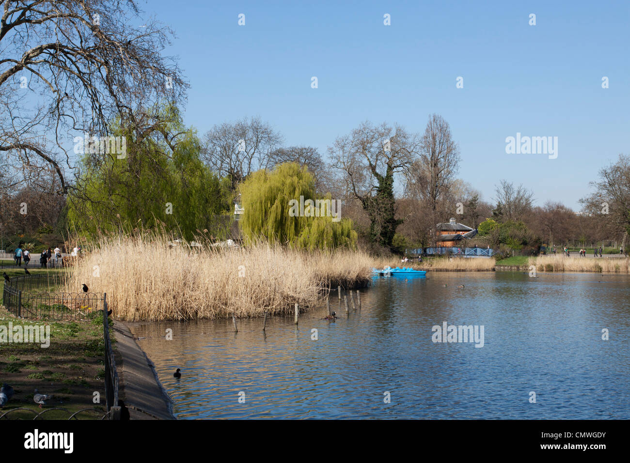 Regents park boating lake, a Royal Park, London, England, UK Stock ...