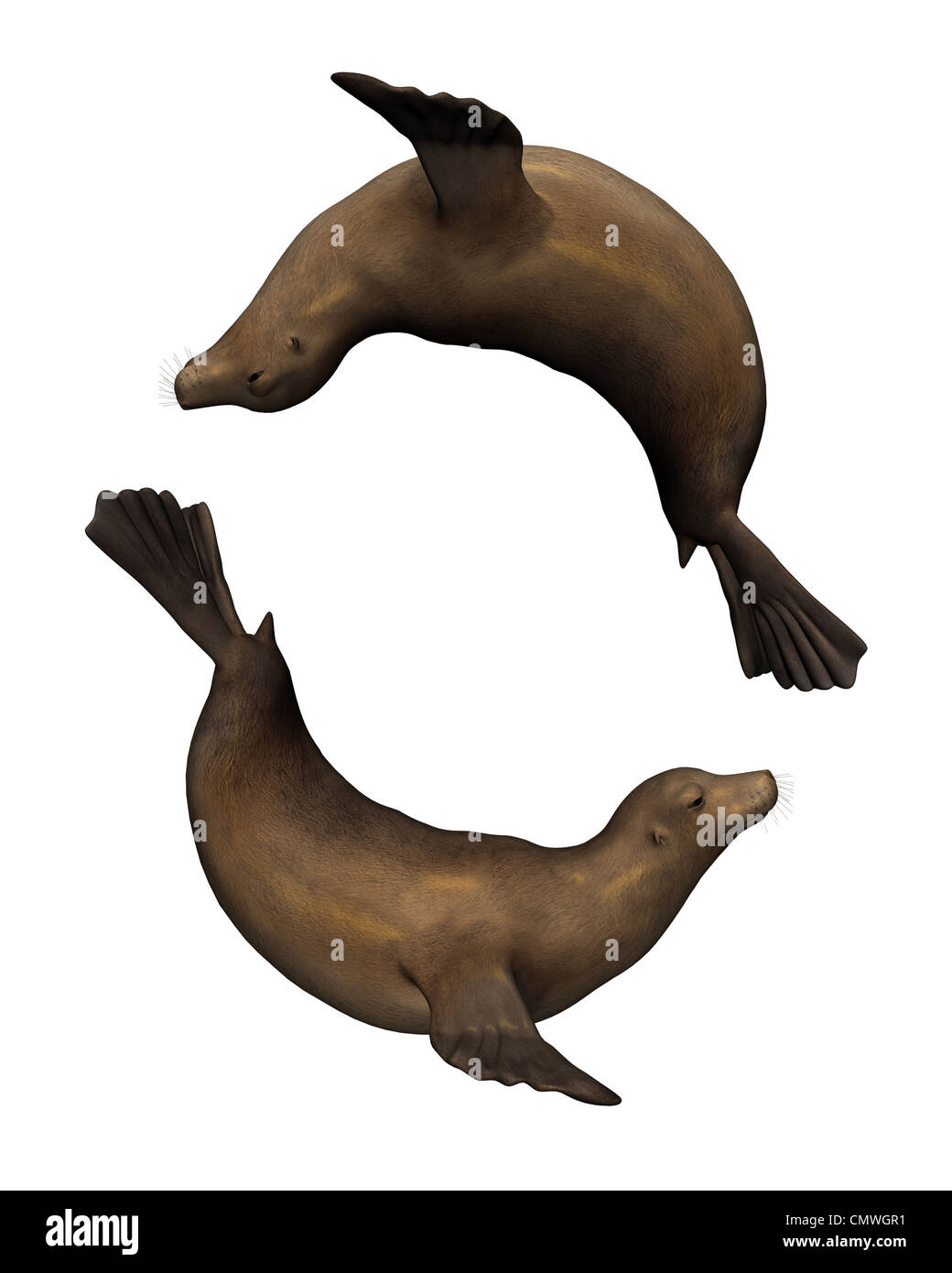 Marine sea creatures hi-res stock photography and images - Alamy