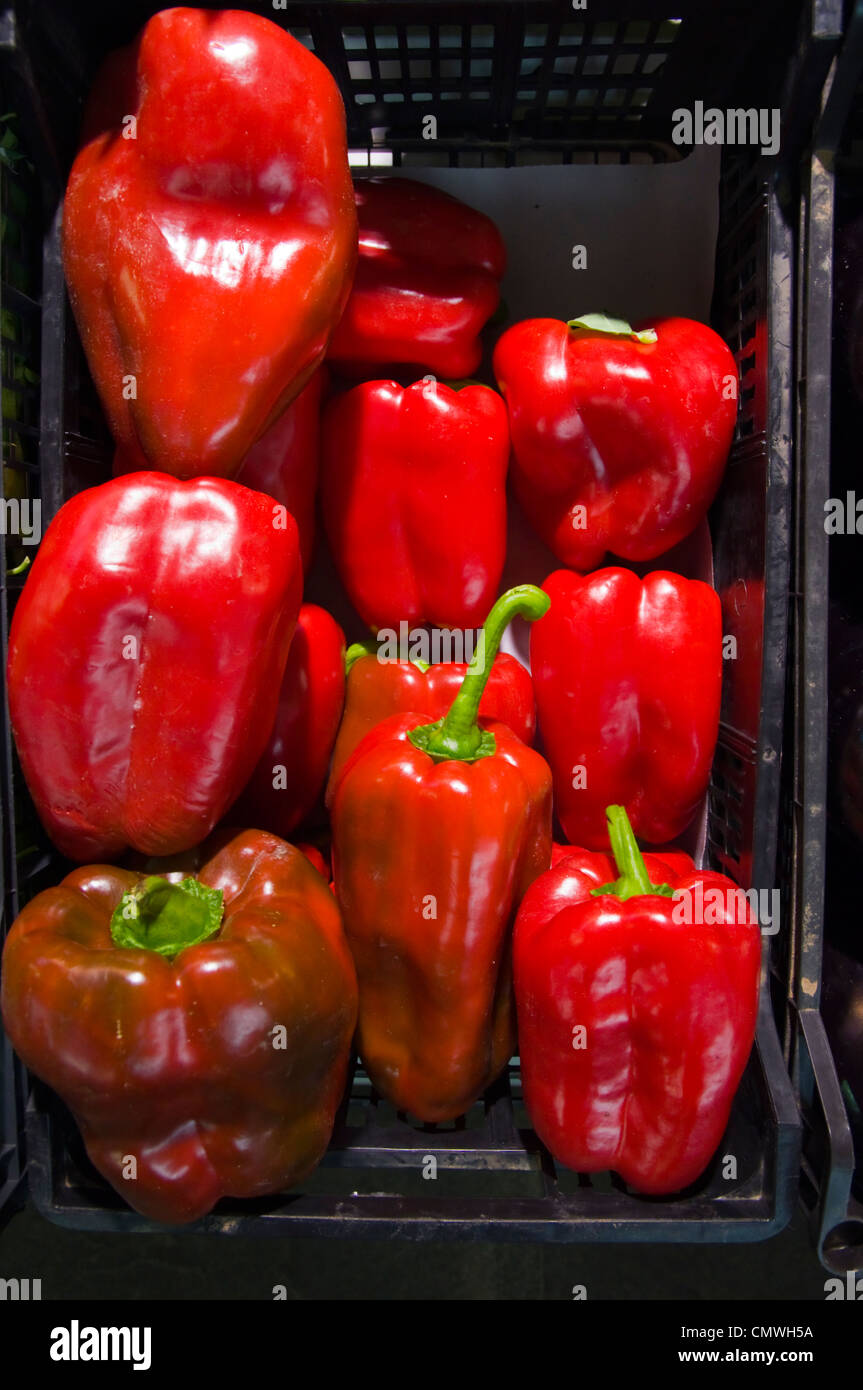 Andalusian peppers hi-res stock photography and images - Alamy