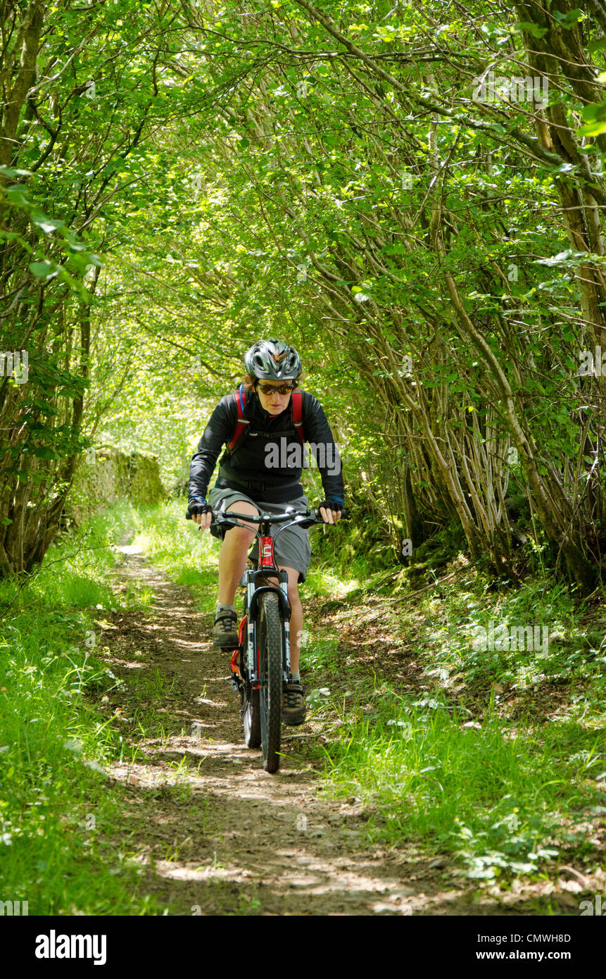 Woman riding bike alone in woodland hi-res stock photography and images ...