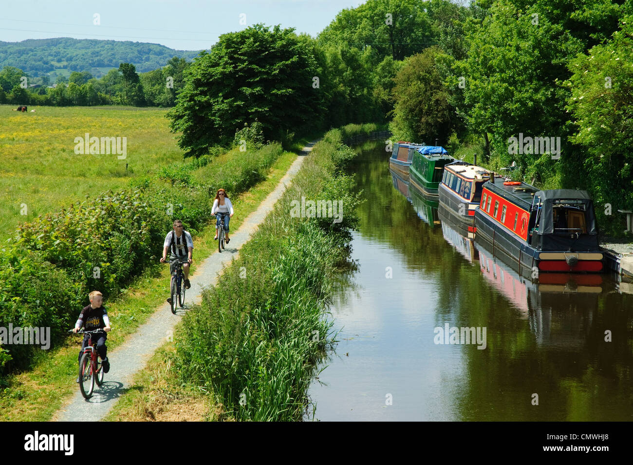 Family cycling past narrowboats on the towpath of the Montgomery Canal ...