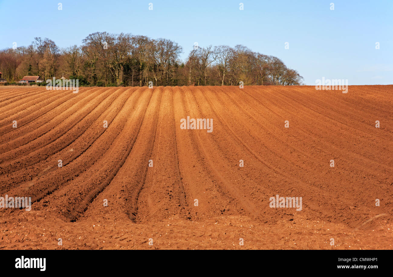 Fring norfolk hi-res stock photography and images - Alamy