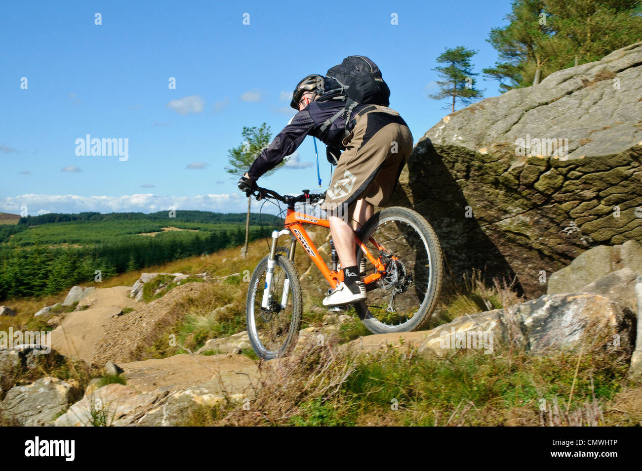 Gisburn forest bike trail hi-res stock photography and images - Alamy