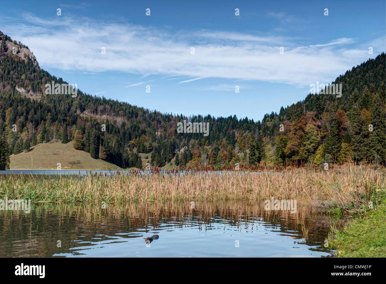 Lake spitzingsee surrounded by mountains Stock Photo - Alamy