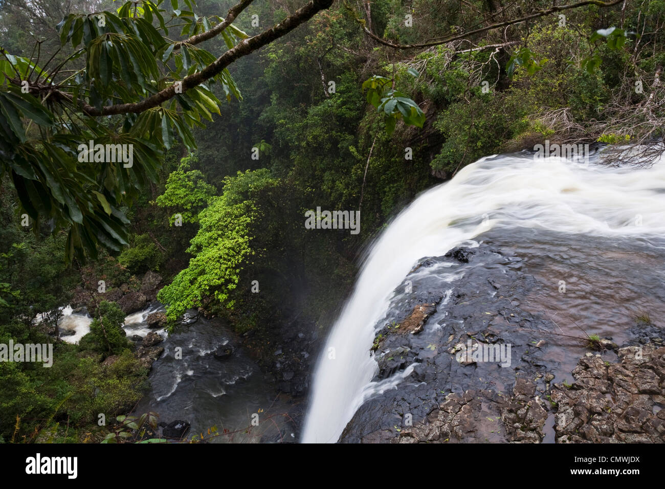 Zillie Falls - part of the Waterfalls Circuit on the Atherton ...