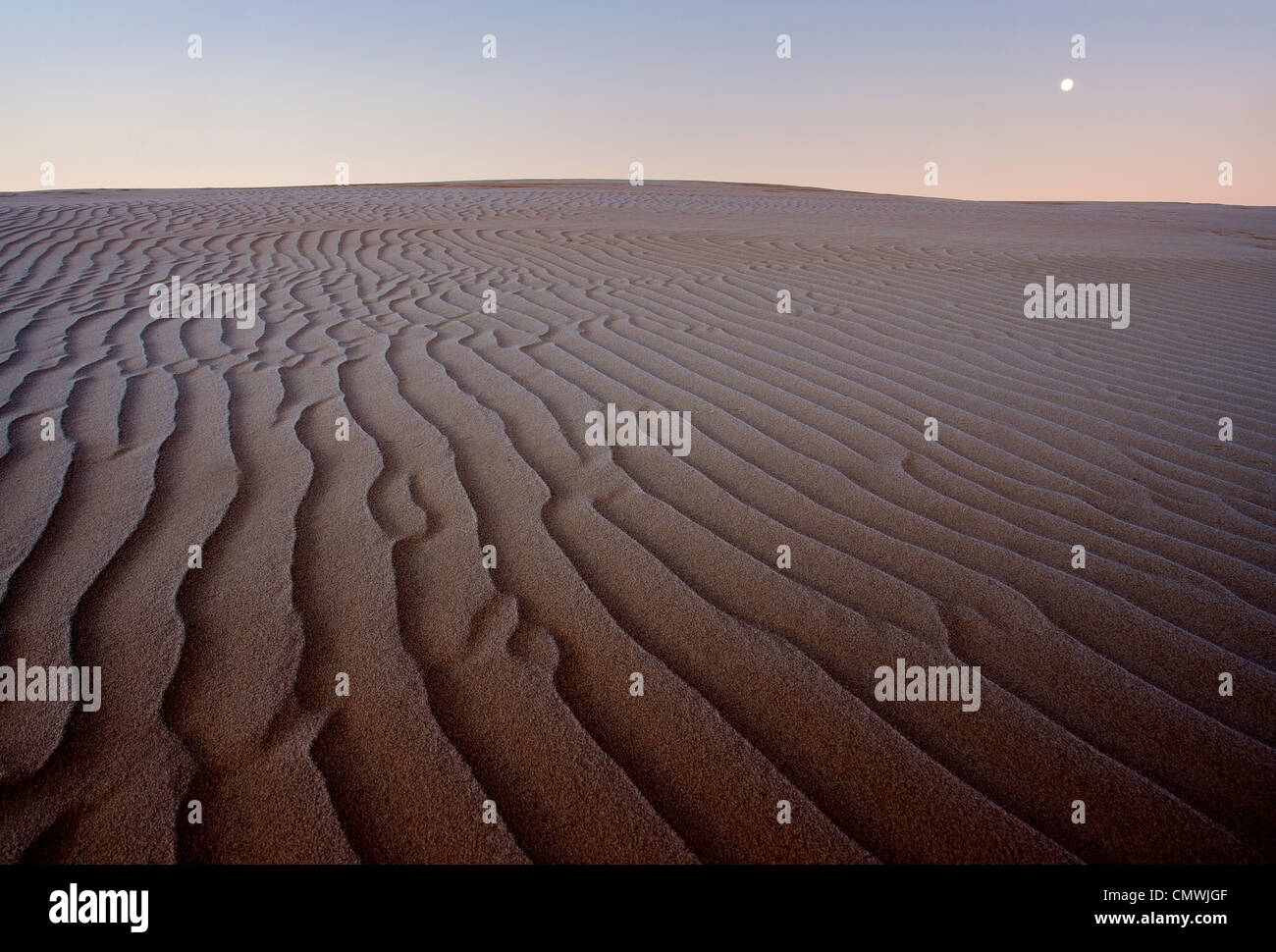 Sand dunes in Slowinski National Park. Poland Stock Photo - Alamy