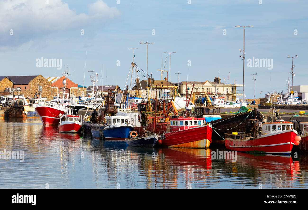Fishing boats in Howth harbor in summer, county Dublin, Ireland Stock ...