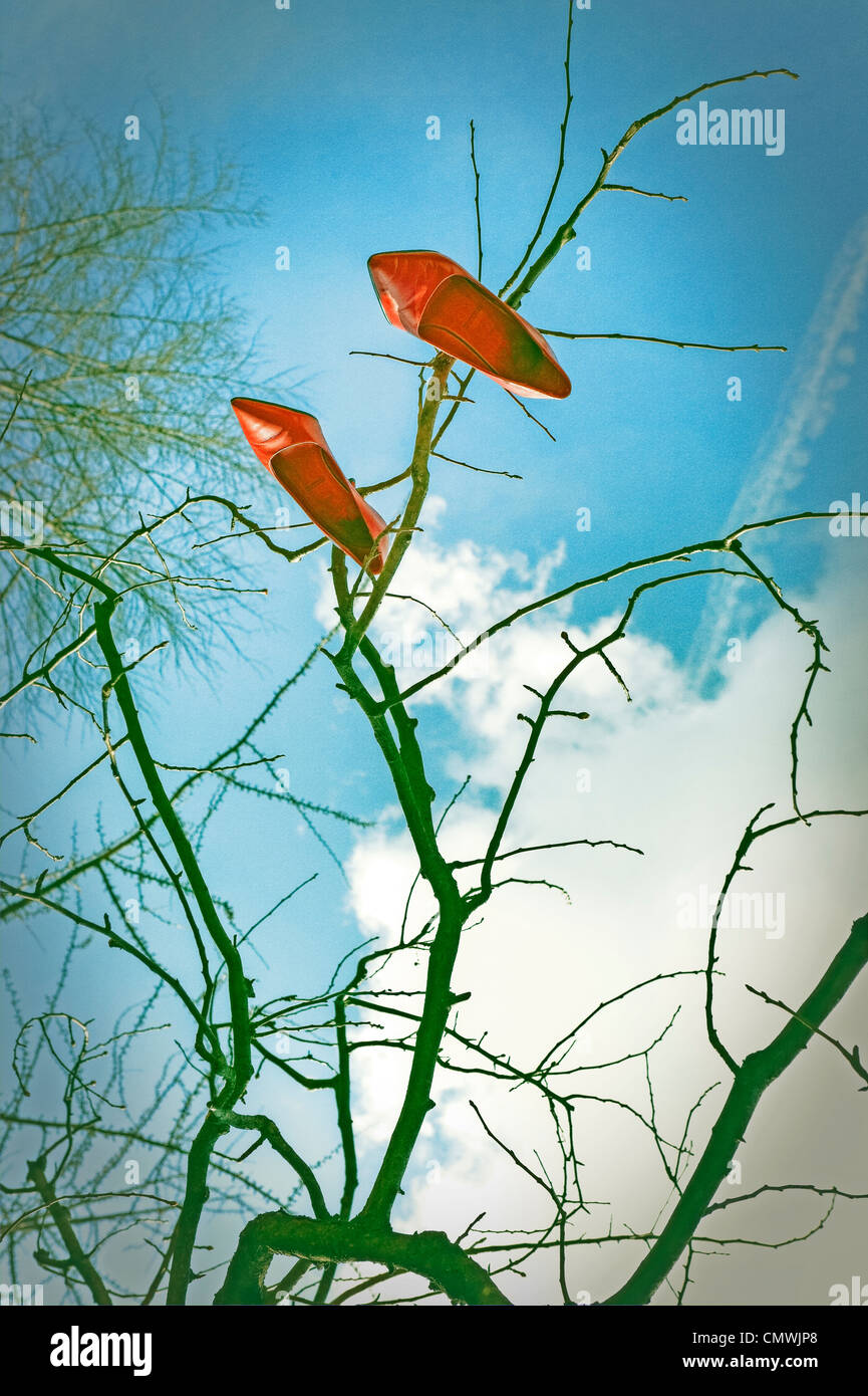 Flying shoe hi-res stock photography and images - Alamy