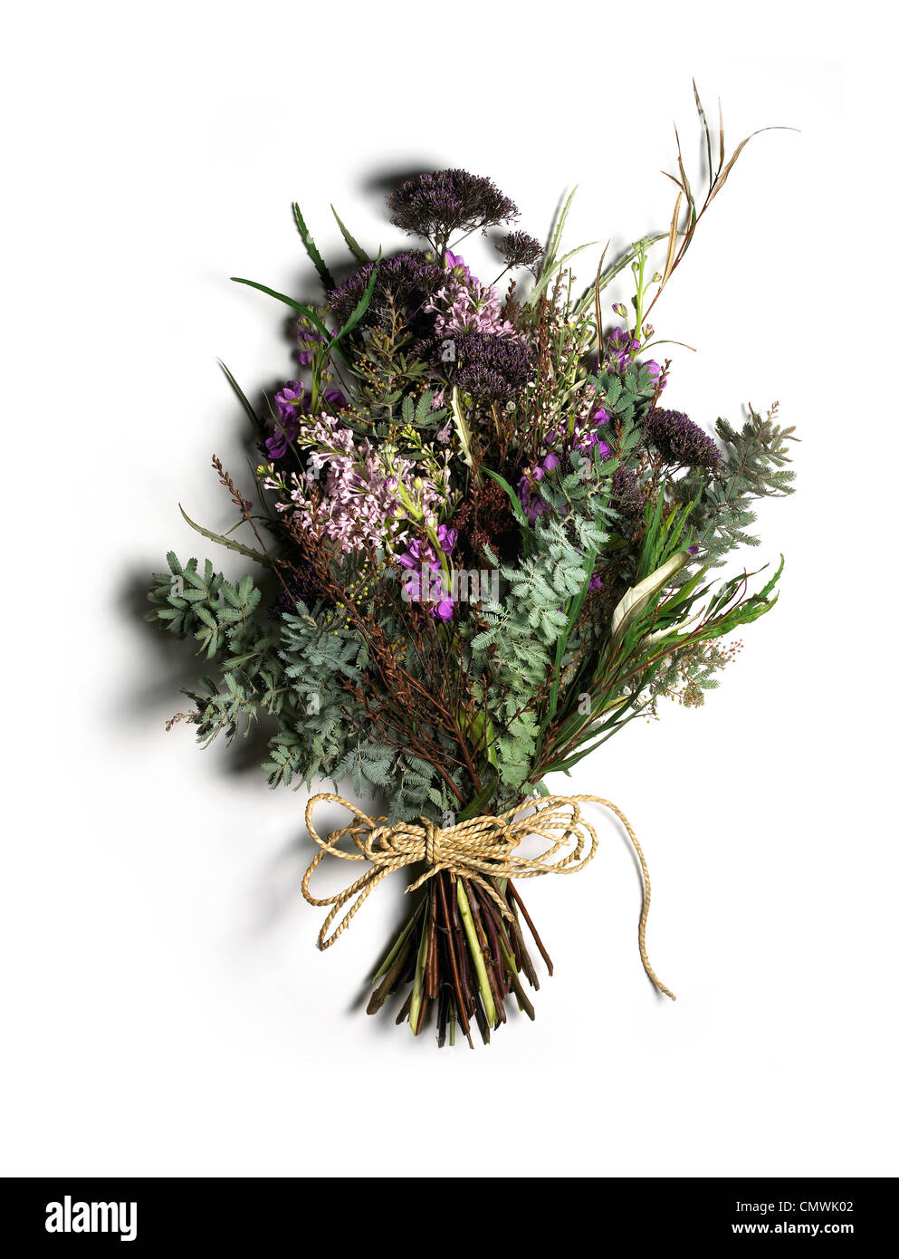 Flowers and shrubs Cut Out Stock Images & Pictures - Alamy