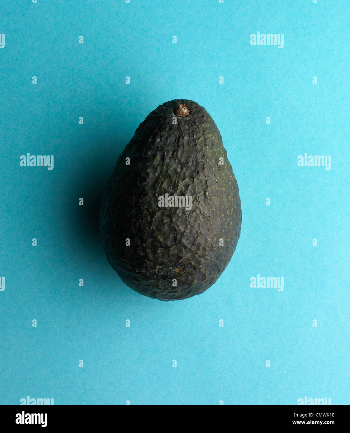Alligator eating fruit avocado hi-res stock photography and images - Alamy