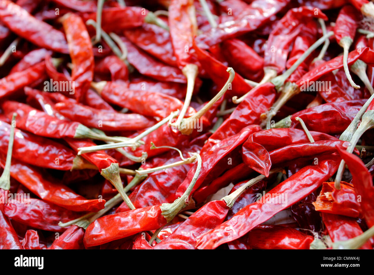 red dried chilli Stock Photo - Alamy