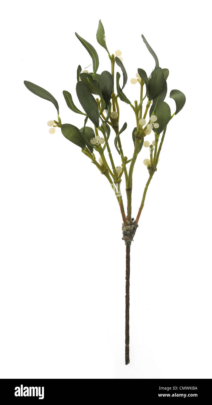 One fake sprig mistletoe Stock Photo - Alamy