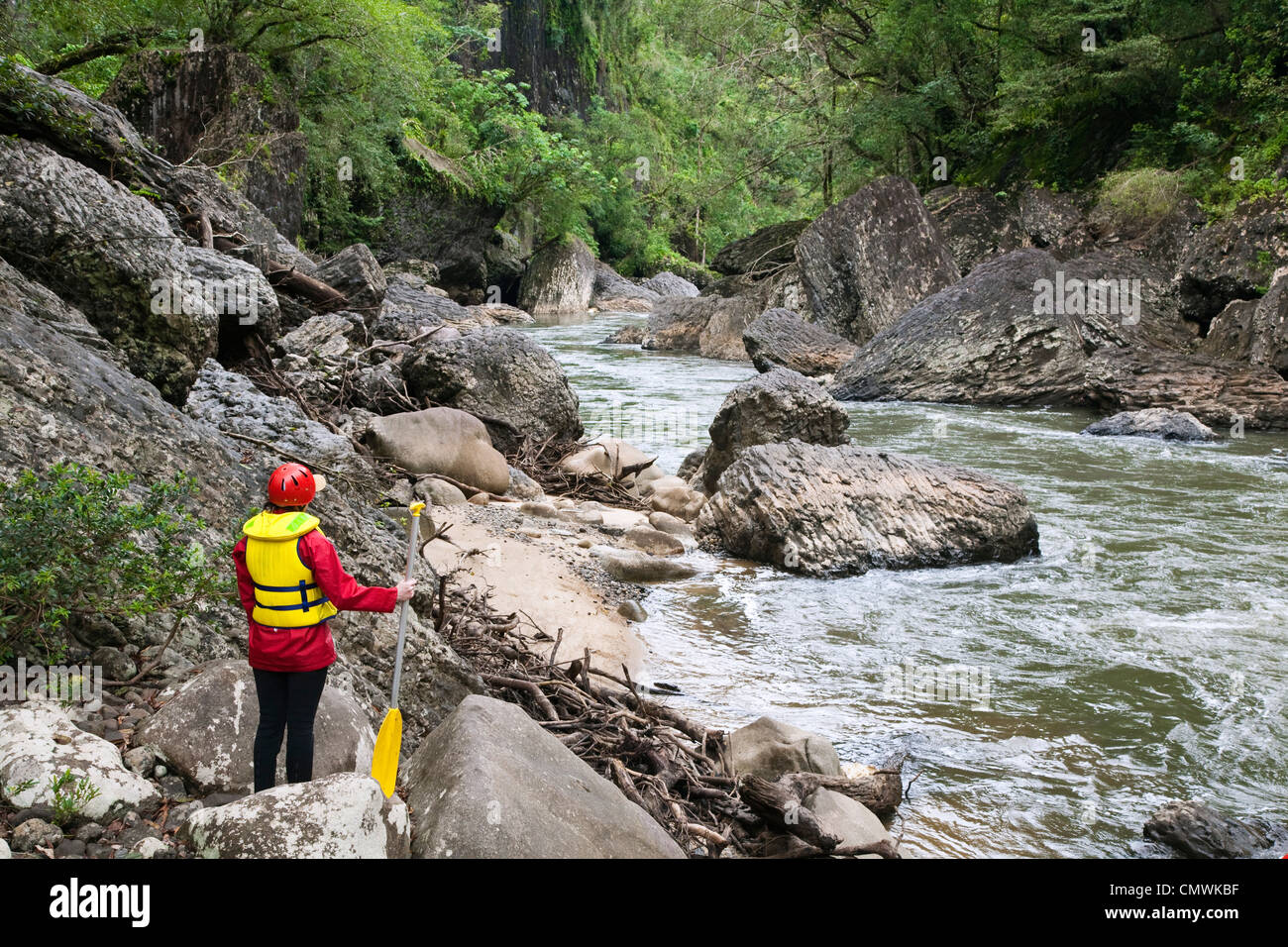 White water rafter standing with paddle looking along rainforest gorge ...