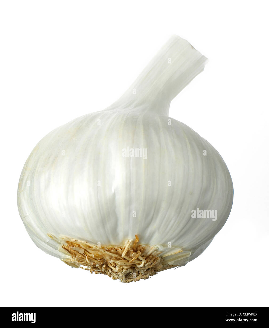 One garlic bulb Stock Photo - Alamy