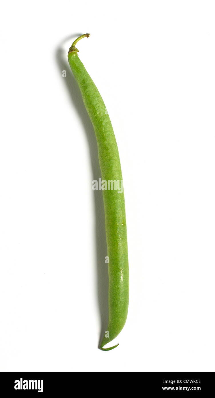 One Runner Bean Stock Photo - Alamy