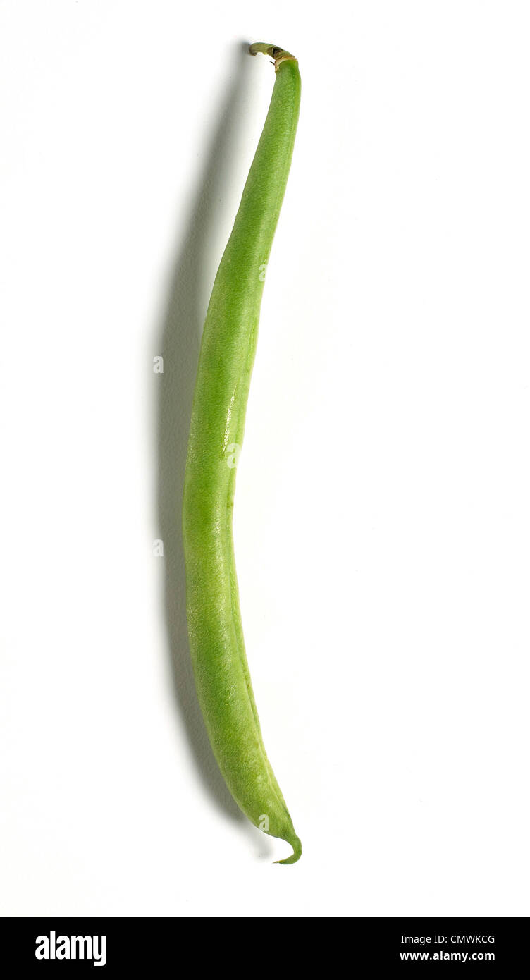 One Runner Bean Stock Photo - Alamy