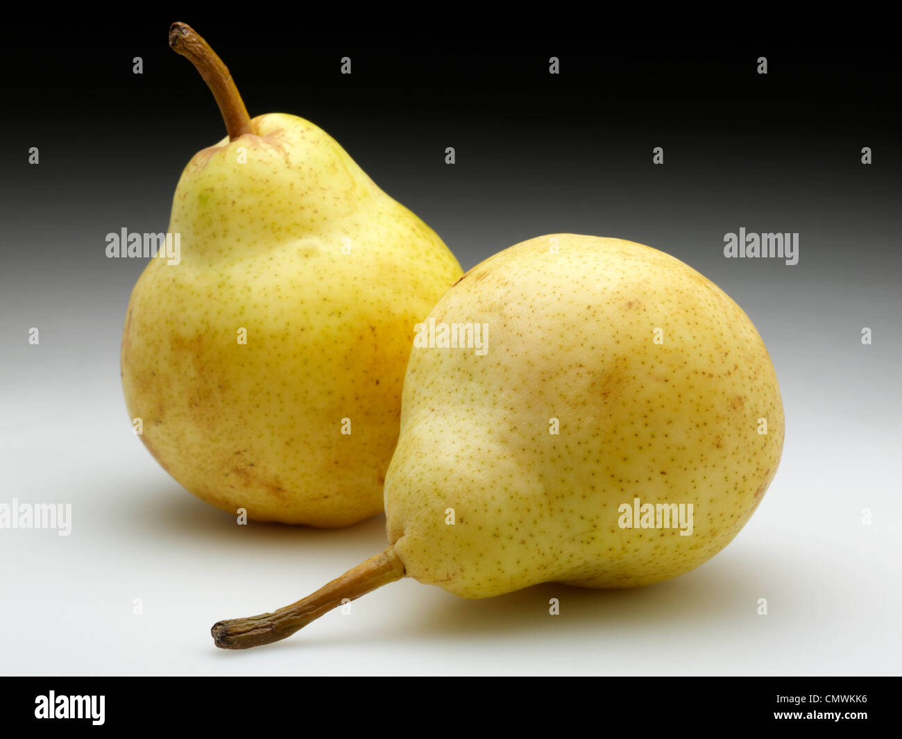 William Pears High Resolution Stock Photography and Images - Alamy