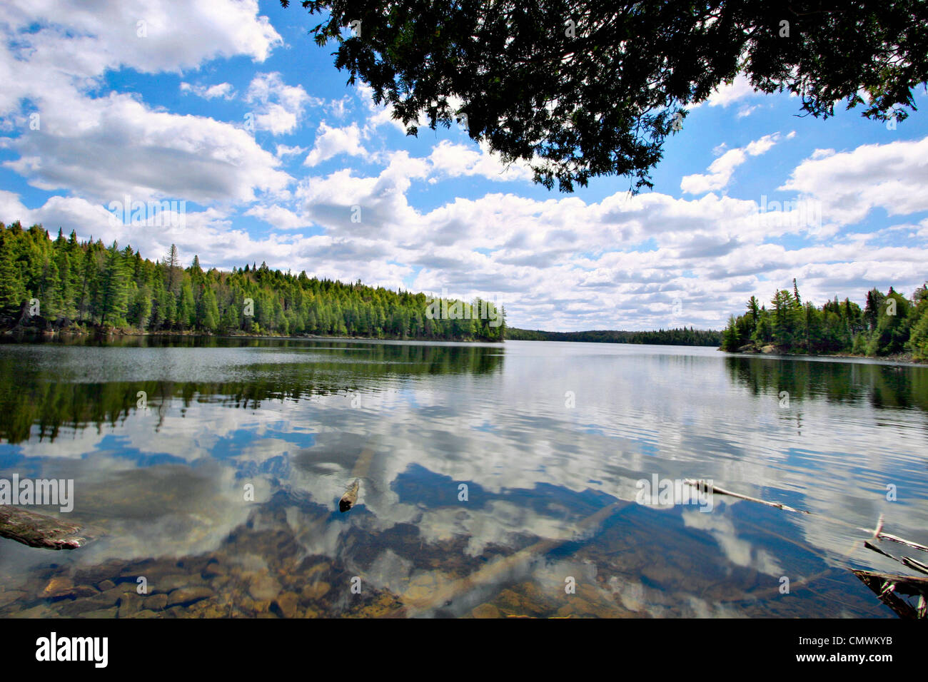 Algonquin park pics hi-res stock photography and images - Alamy