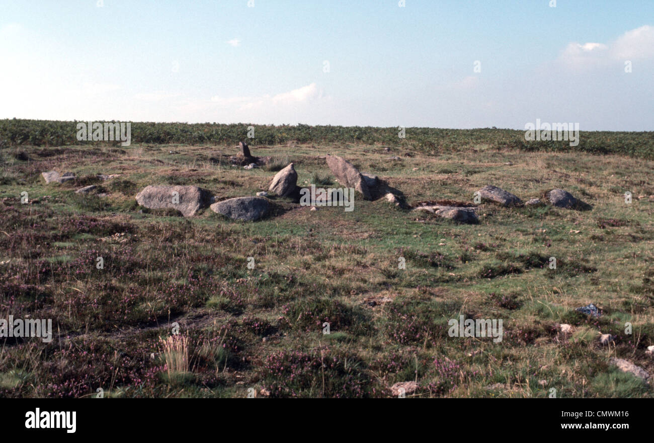 Hut Circle - Holne Moor, Dartmoor Stock Photo - Alamy