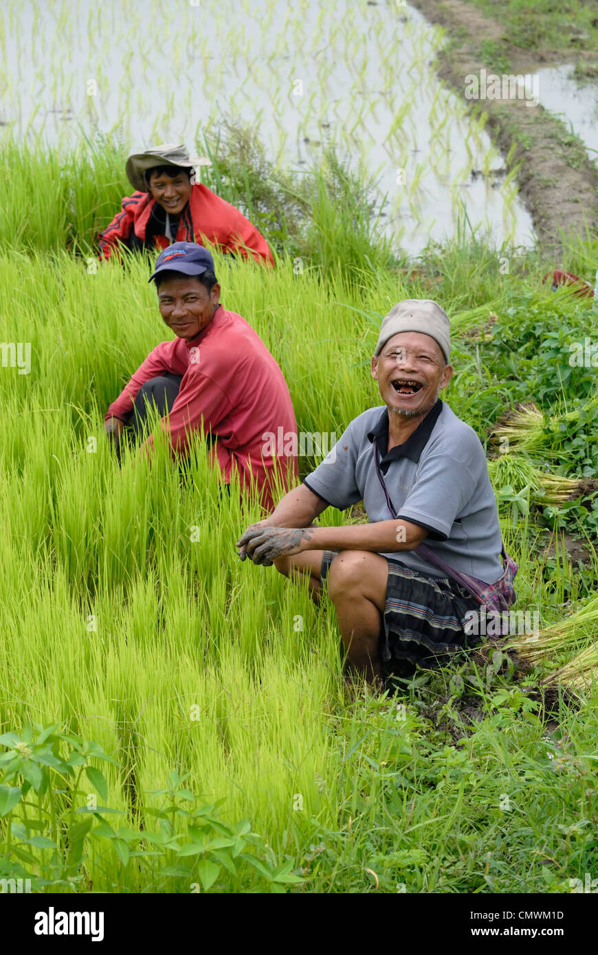 Burmese refugee workers in Maesariang Mae Hong Son Northern Thailand on ...