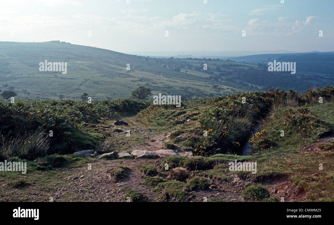 Holne bridge hi-res stock photography and images - Alamy