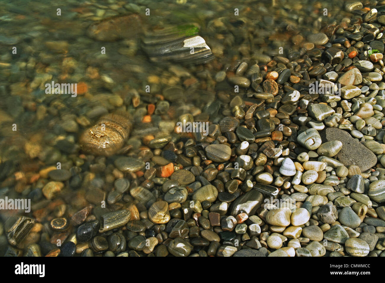 A close up image of pebbles on a beach with water covering some Stock ...