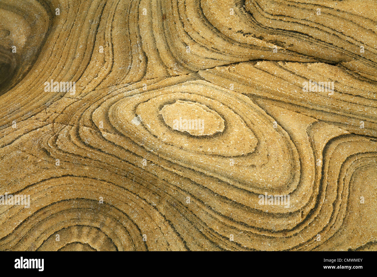 A close up abstract image of strata patterns on a eroded rock Stock ...