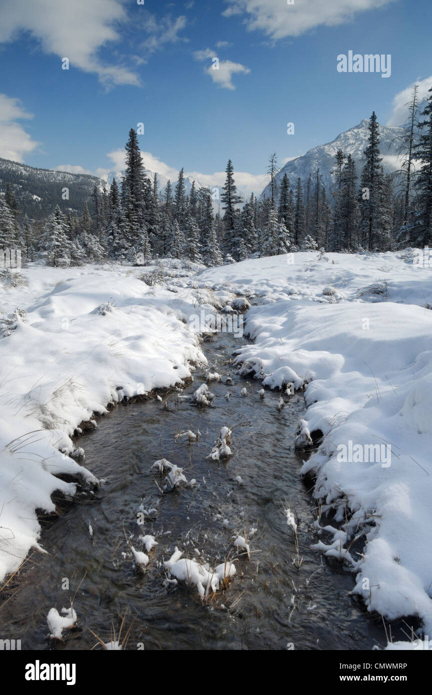 Fresh Snowfall, Banff National Park, Alberta Stock Photo - Alamy