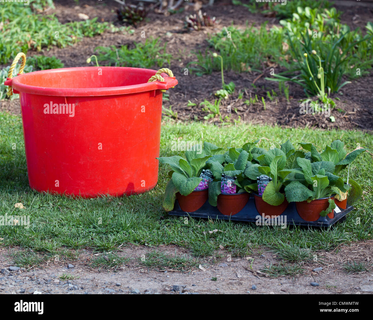 Gardening Pail