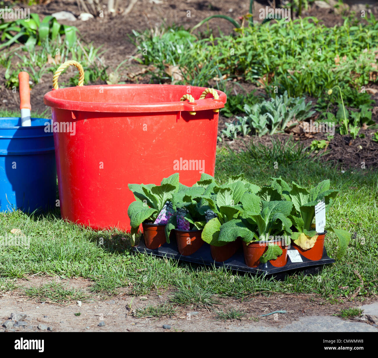 Pallet garden hi-res stock photography and images - Alamy