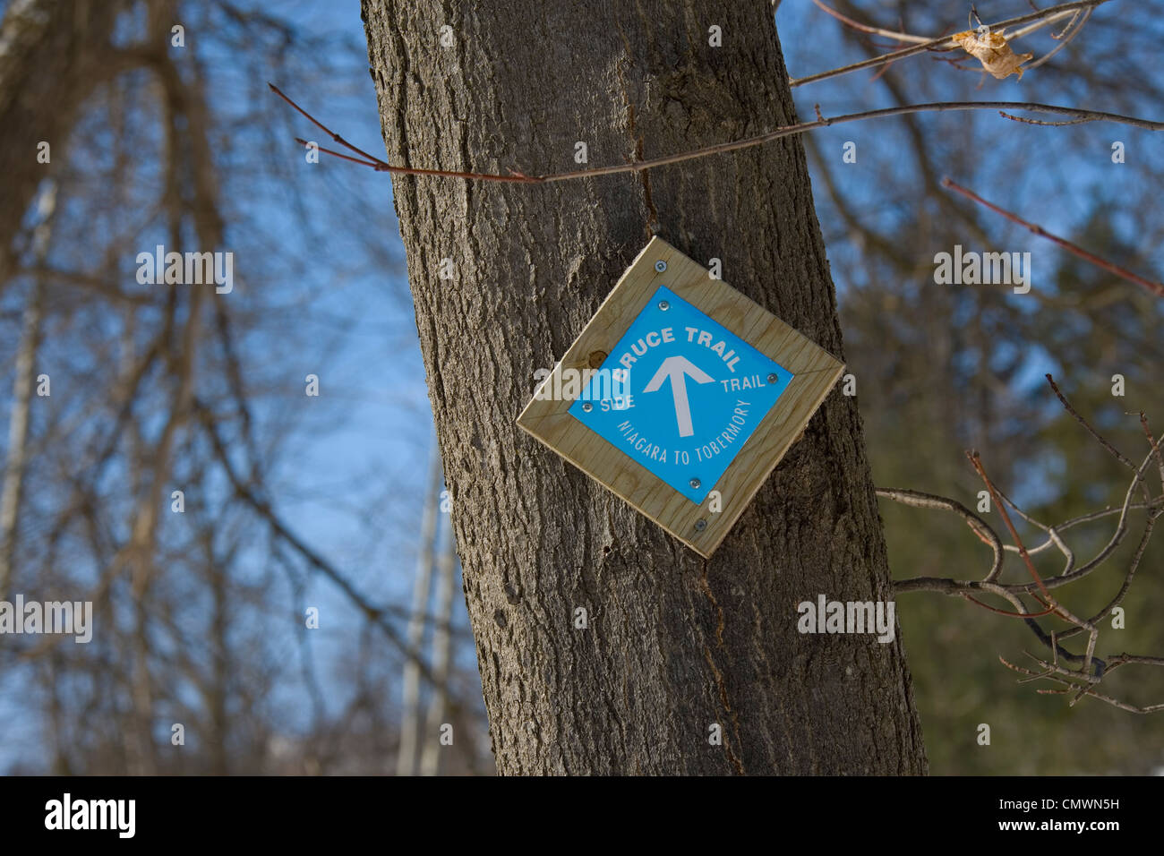 Bruce Trail Sign, Alton, Ontario Stock Photo - Alamy