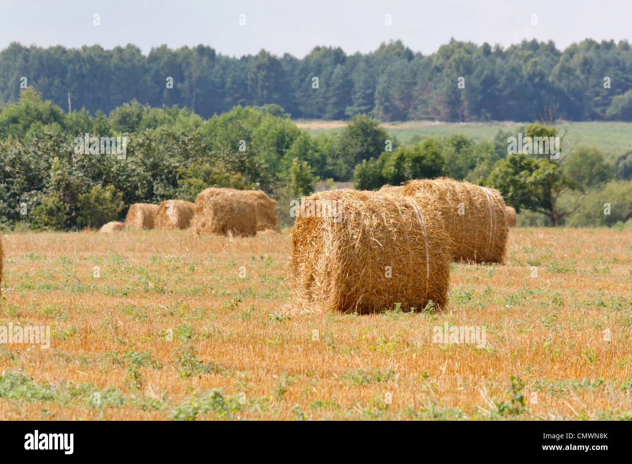 Hay stacks hi-res stock photography and images - Alamy