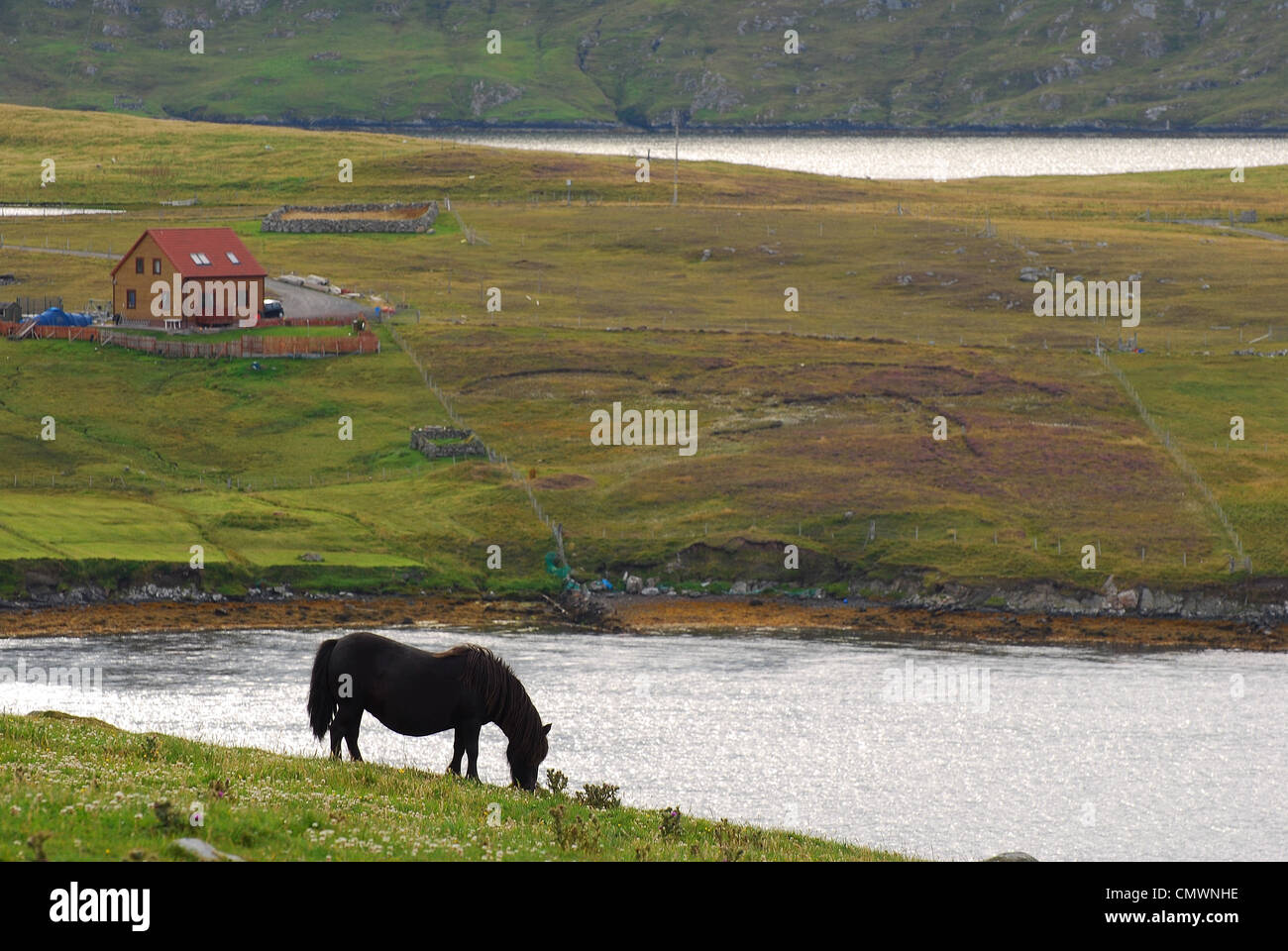 Shetland landscape hi-res stock photography and images - Alamy