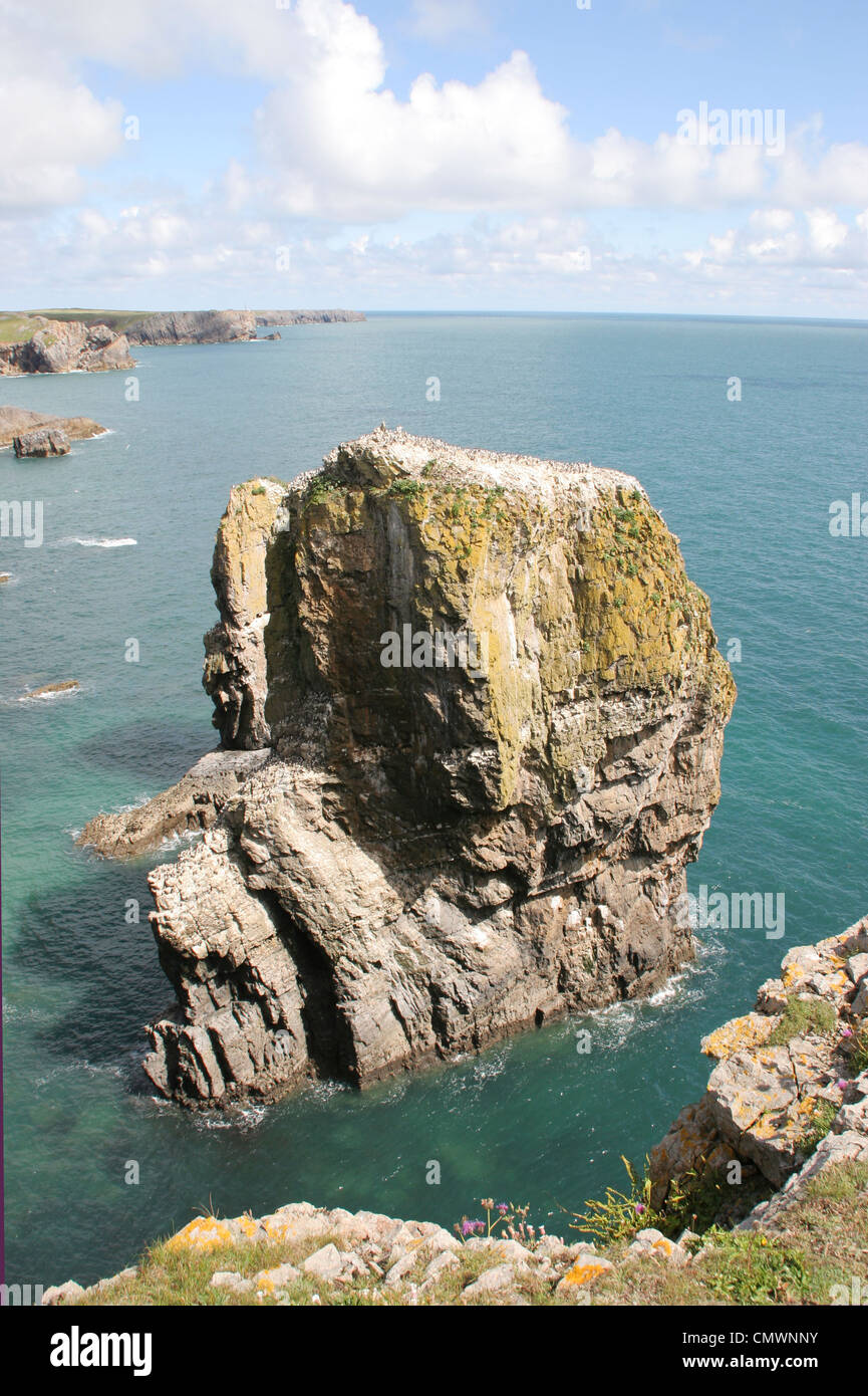 Stack Rocks Castle Martin Pembrokeshire Wales UK Stock Photo - Alamy