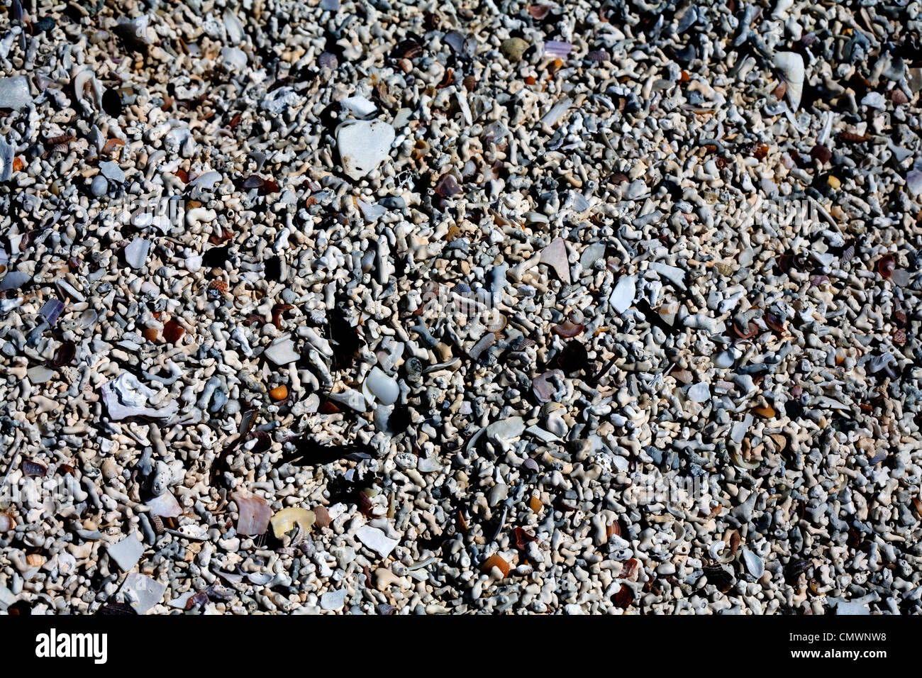 The Coral Beaches of Claigan Dunvegan Isle of Skye Scotland Stock Photo ...