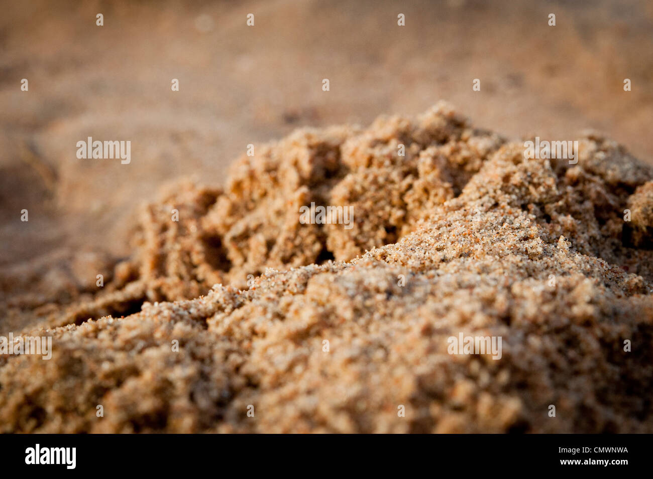 Sand on the beach Stock Photo - Alamy