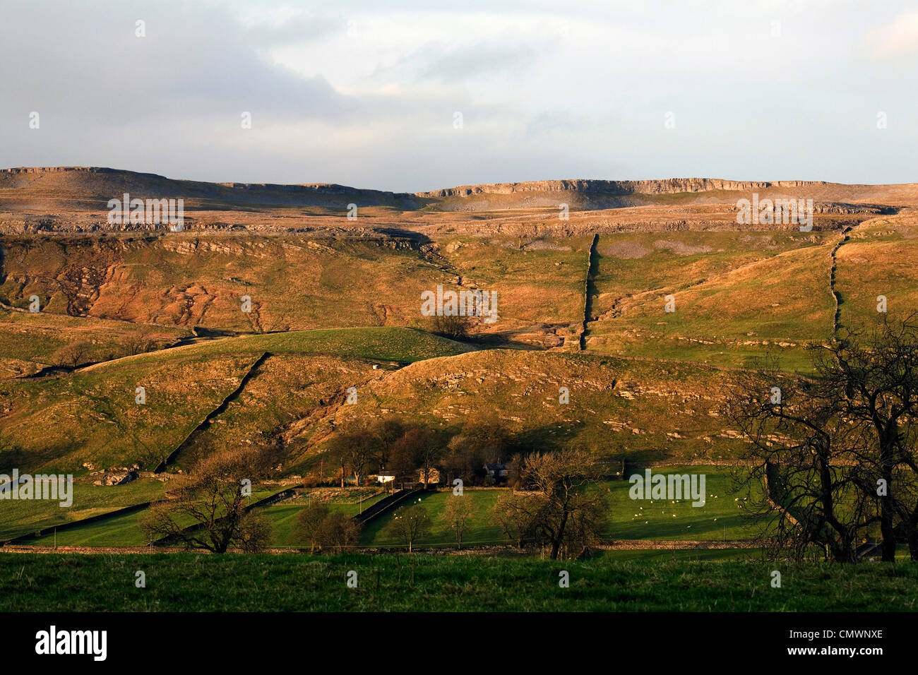 Long Scar and Crummack Dale Austwick Yorkshire Dales England Stock ...