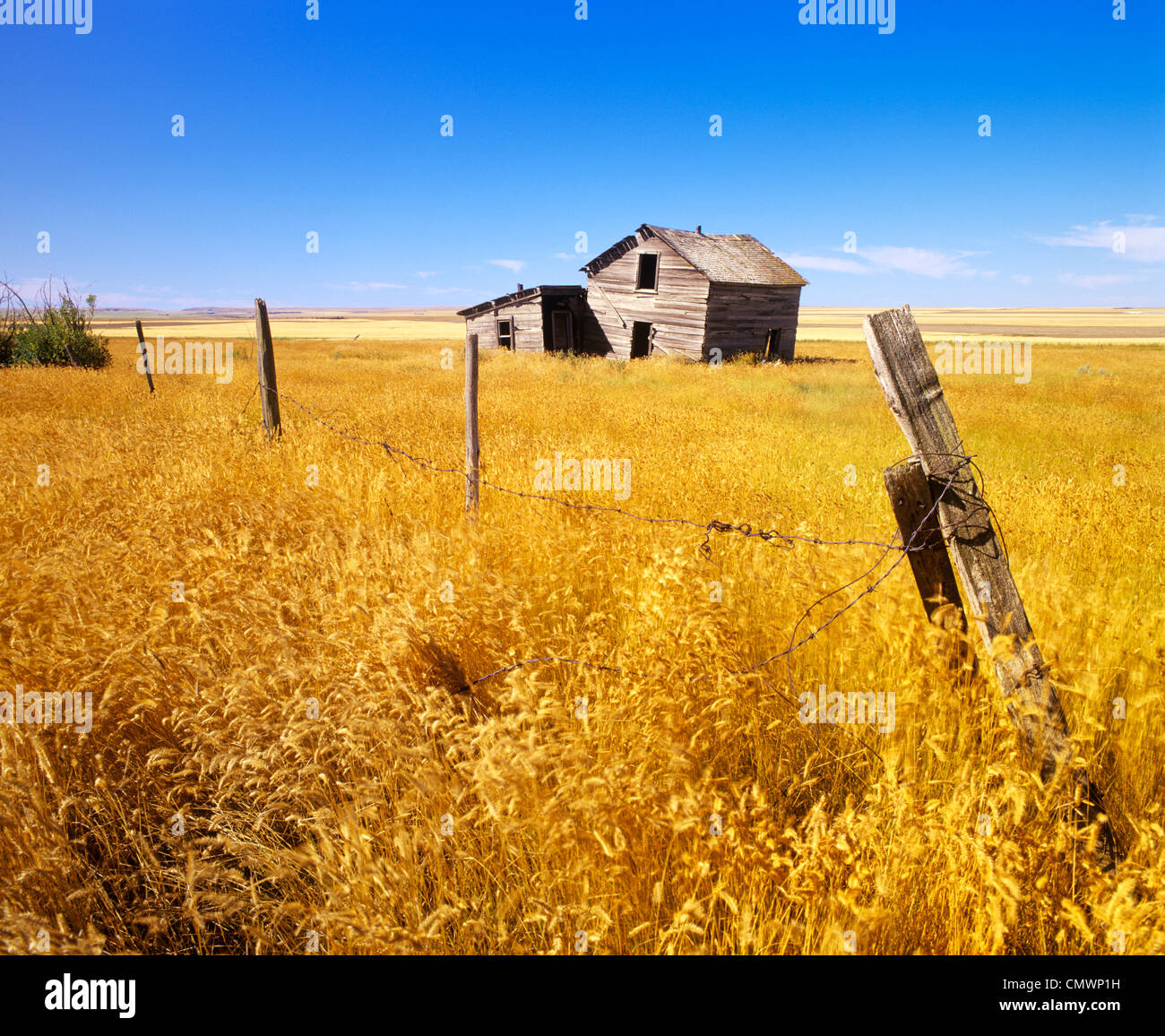 Old Farmhouse, near Ponteix, Saskatchewan Stock Photo - Alamy