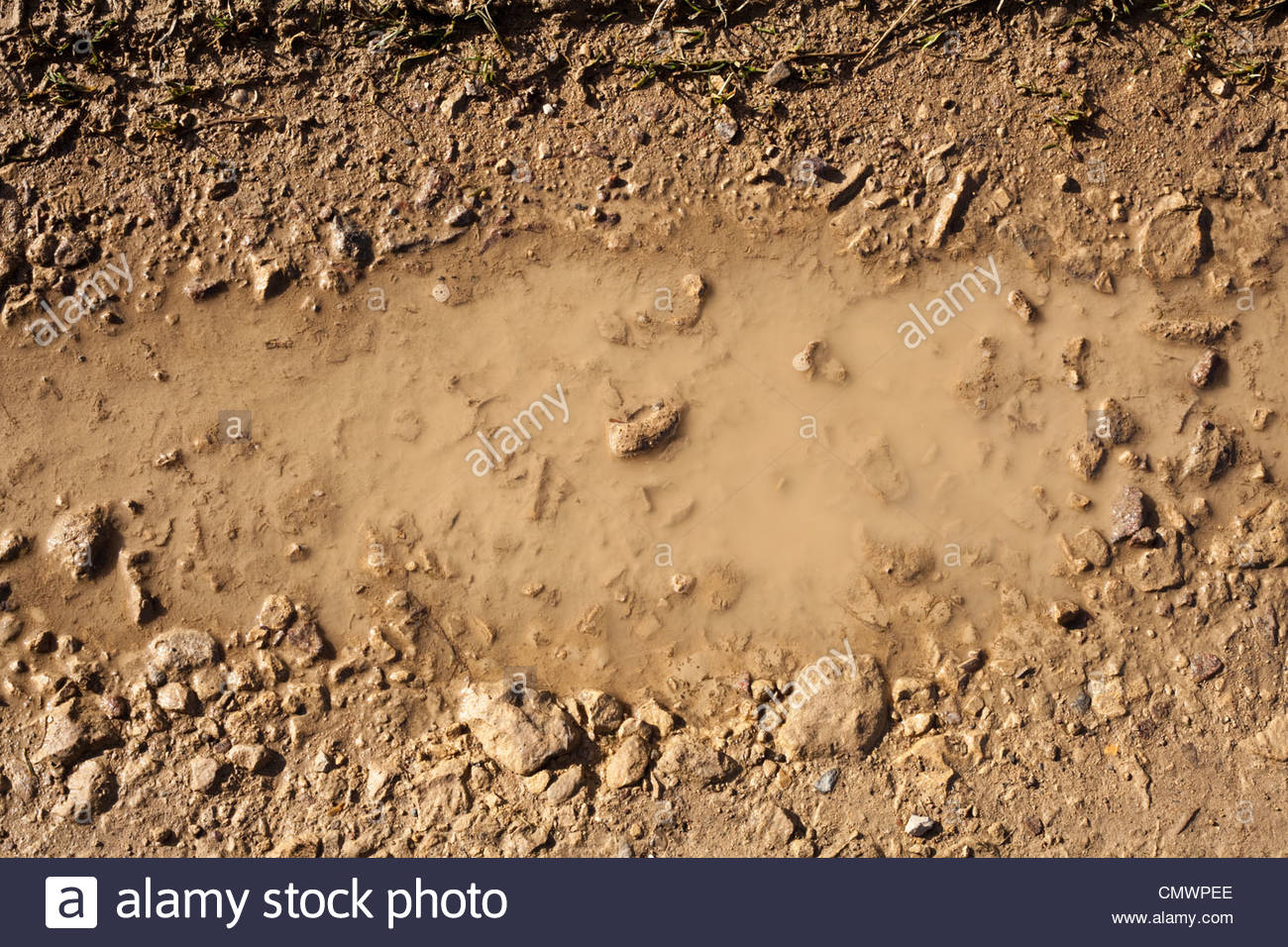 Muddy Puddle High Resolution Stock Photography and Images - Alamy