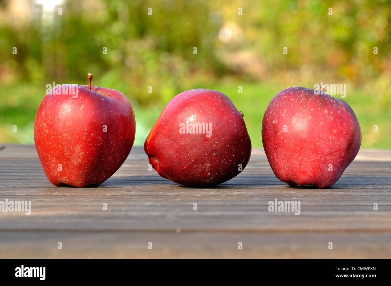 Starkinson hi-res stock photography and images - Alamy