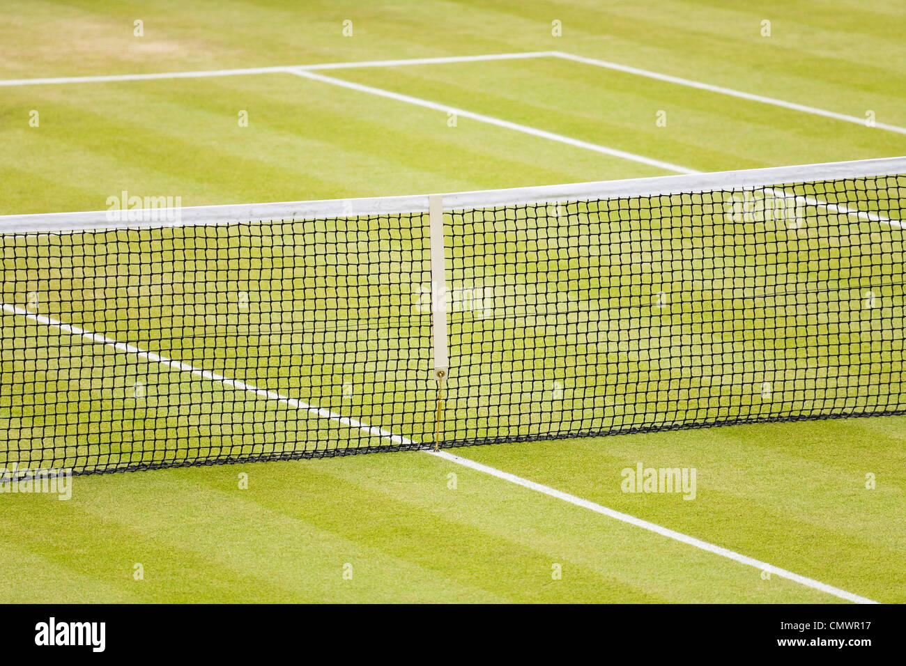 Closeup of a lawn tennis court with net and lines Stock Photo - Alamy